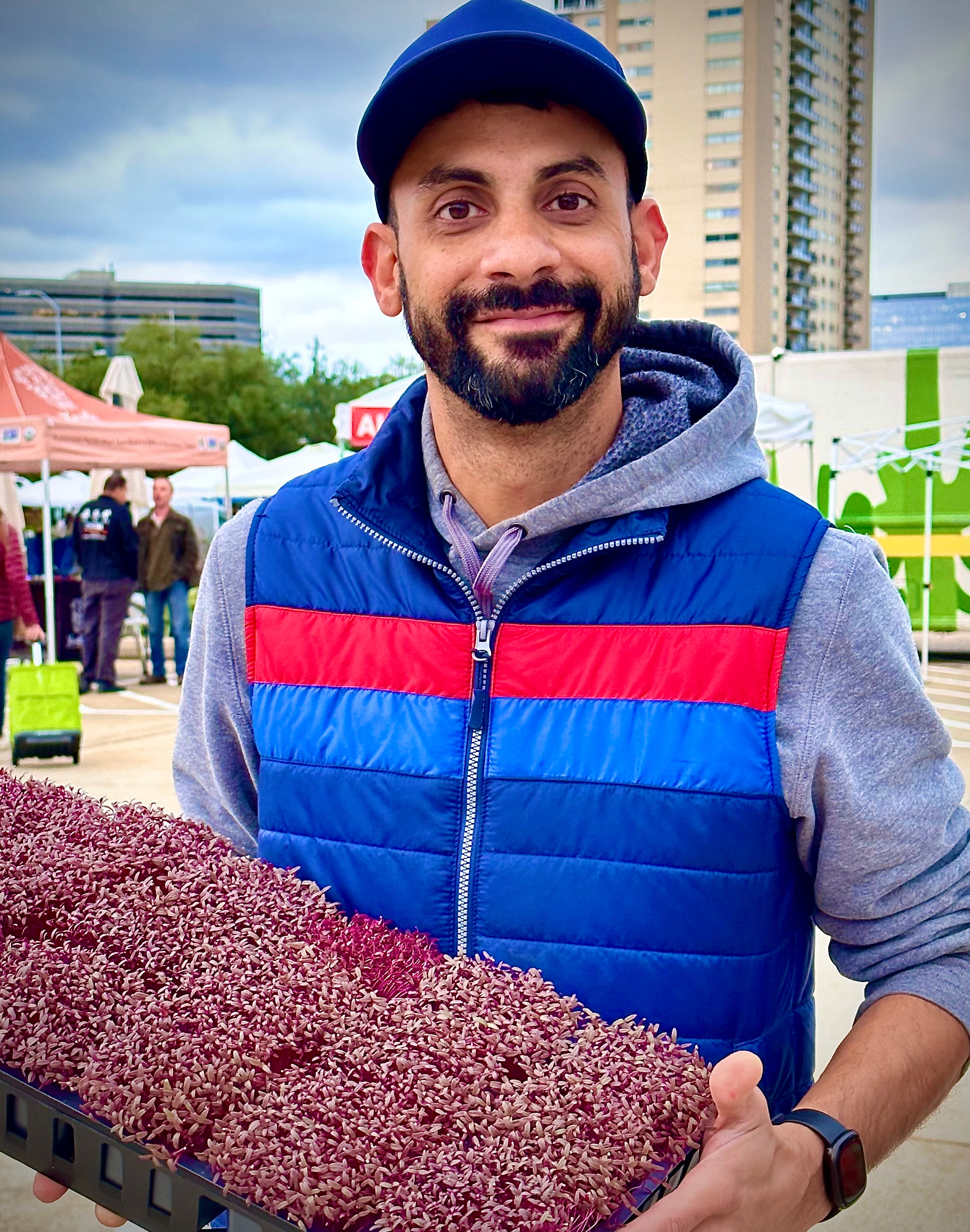 Southern Harvest Microgreens – Southern Harvest Farm